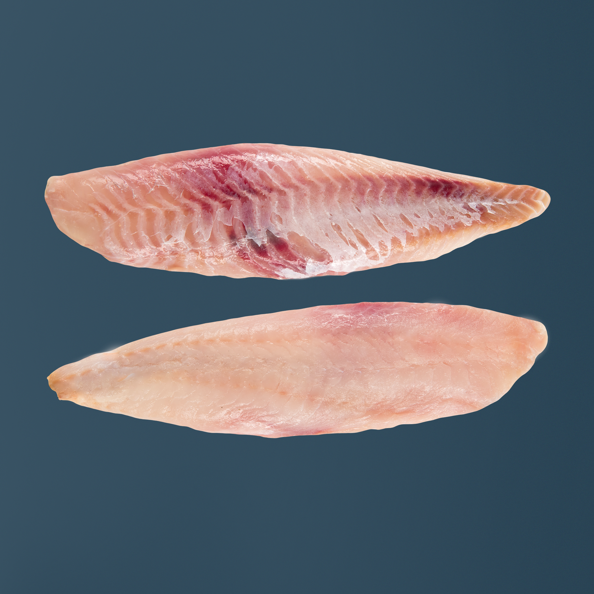 Tagesfrische Fischspezialitäten – Fisch Witte Online
